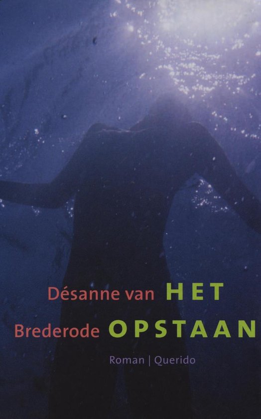 Het opstaan (ebook), Désanne Van Brederode | 9789021444208 | Boeken | bol