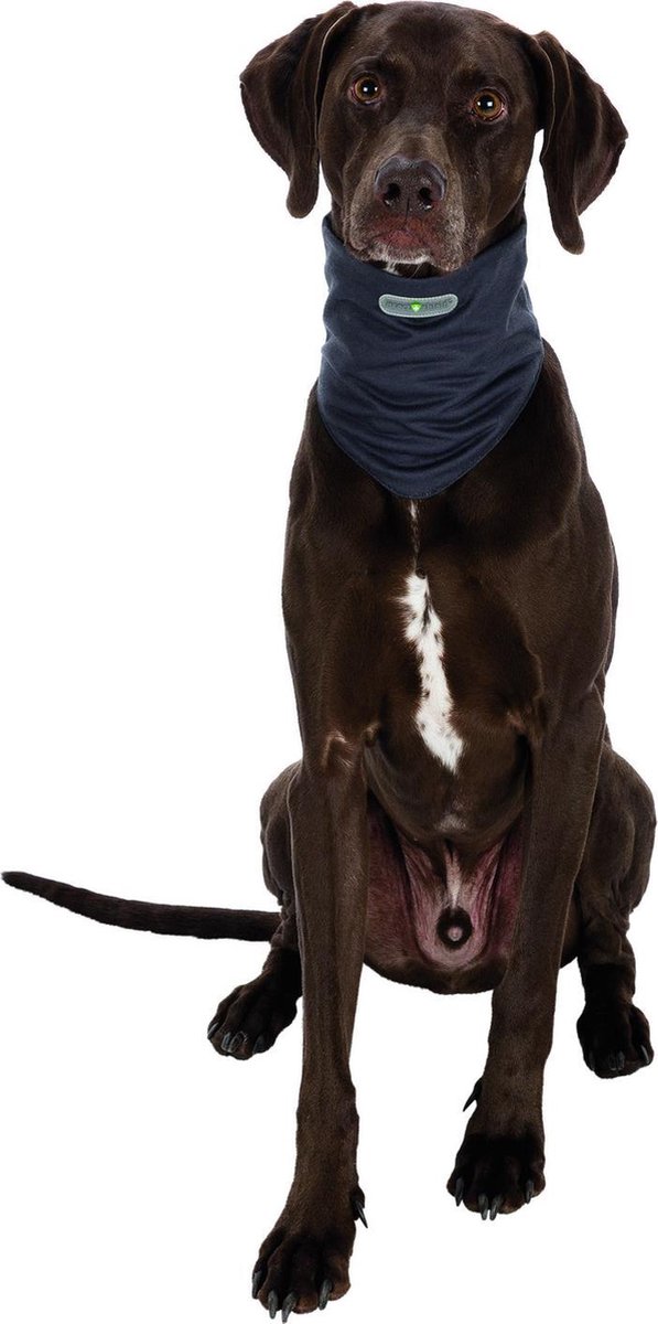 Trixie insect shield bandana grijs xs 24 cm | bol.com