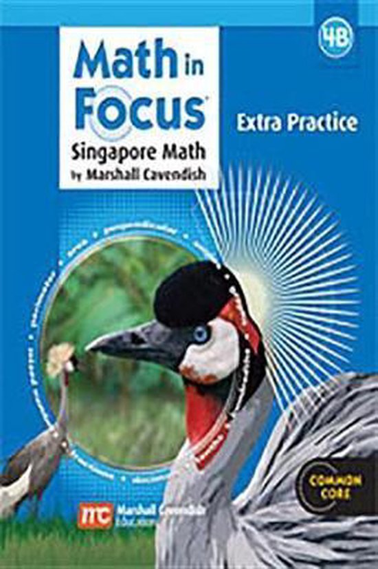 Math in Focus: Singapore Math- Extra Practice, Book B Grade 4 ...