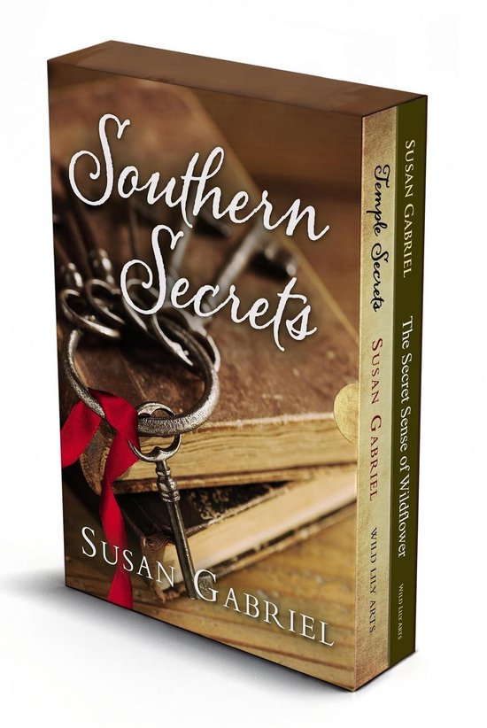Southern Secrets: Susan Gabriel Southern Fiction Box Set (ebook), Susan ...