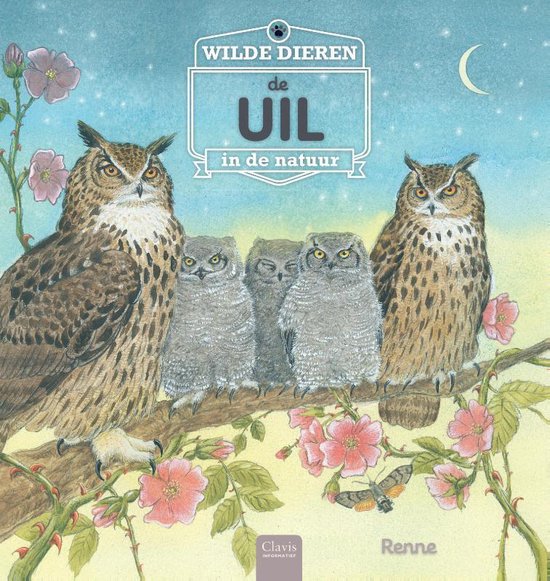 Wilde dieren in de natuur - De uil | Games | bol