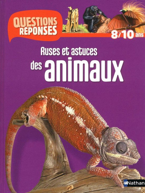 QUEST/REPONSES COLLEGE - Ruses et astuces des animaux - Questions ...