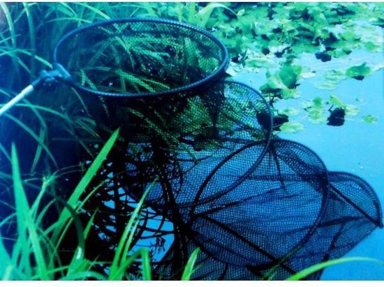 Visnet met aluminium stok - Ø 36 cm, L 140 cm - set van 2 stuks | bol