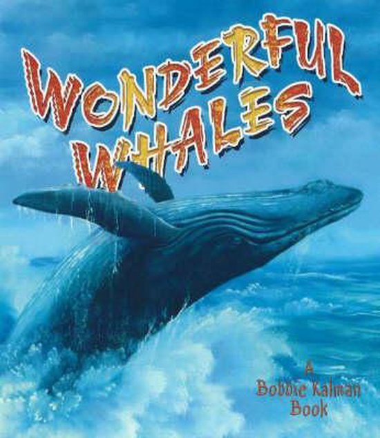 Wonderful Whales, Hadley Dyer | 9780778713029 | Boeken | bol.com