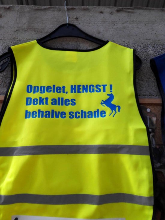 Fluovestje hengst dekt alles, behalve schade | bol