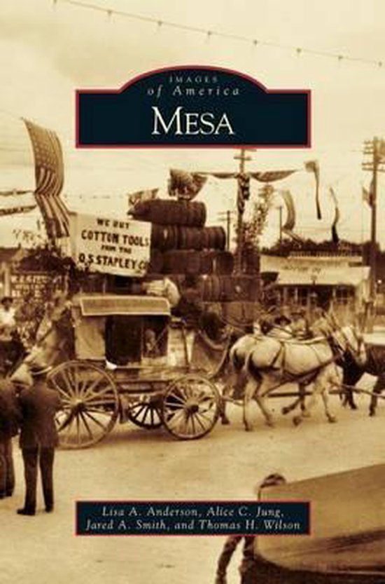Mesa | 9781531629892 | Lisa A Anderson | Boeken | bol.com