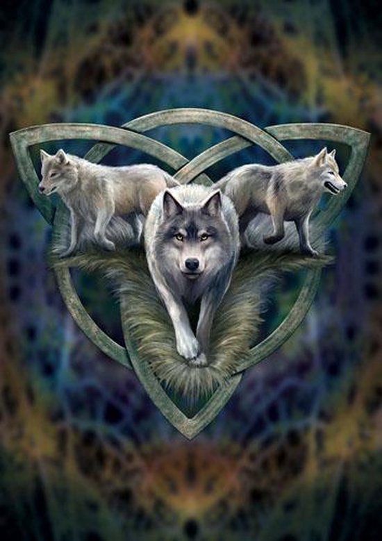 Anne Stokes Wenskaart Wolf Trio | bol