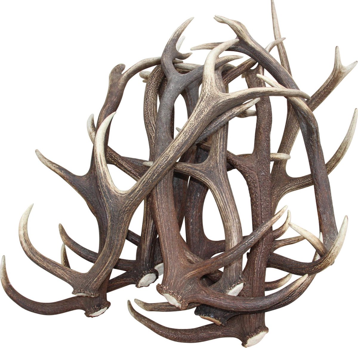 bol.com | 100 % echt Hertengewei edelhert gewei decoratie