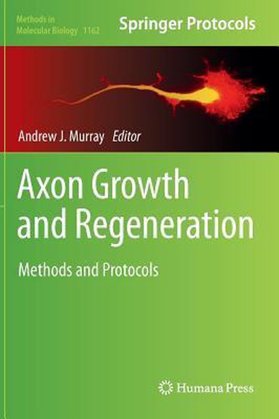 Axon Growth and Regeneration | 9781493907762 | Andrew J. Murray ...