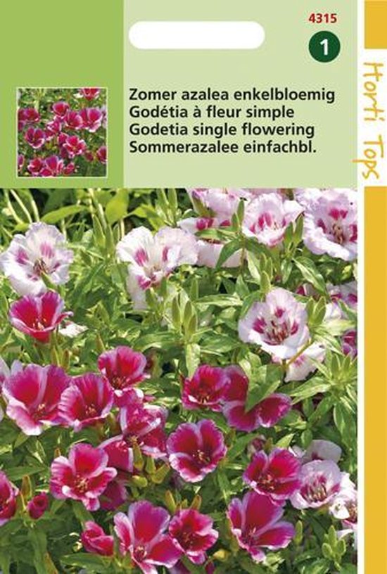 Hortitops Zaden - Godetia Hybrida Enkelbloemig Gemengd | bol.com