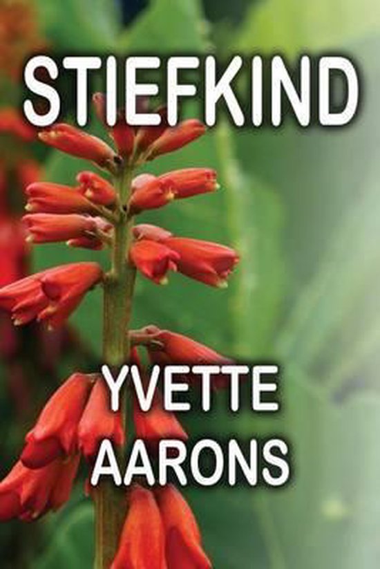 Stiefkind, Mrs Yvette Aarons | 9781494863647 | Boeken | bol.com
