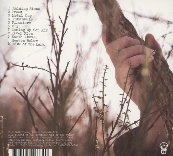 Patrick Dawes - Raising Stone, Patrick Dawes | Muziek | bol