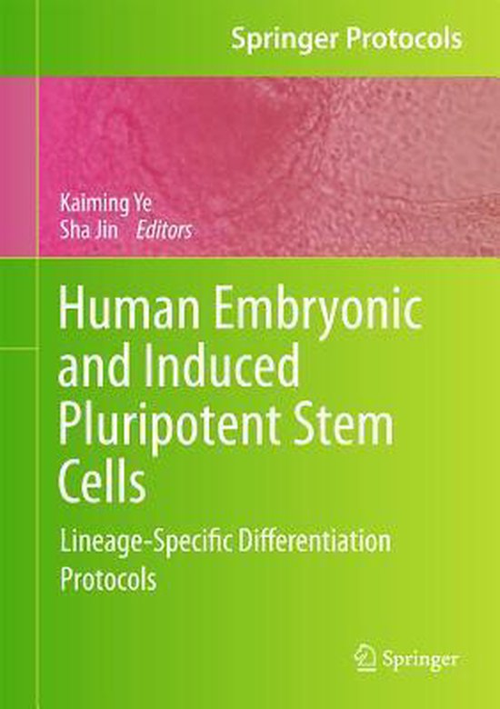 Human Embryonic and Induced Pluripotent Stem Cells: Lineage-Specific ...