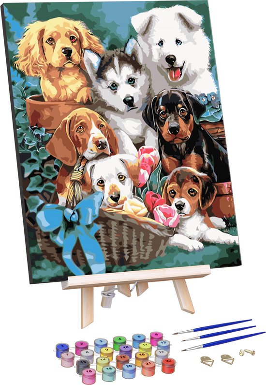Rubye® Schilderen Op Nummer Volwassenen – Schattige Puppy's – Met Frame ... Rubye® Schilderen Op Nummer Volwassenen – Schattige Puppy's – Met Frame ...