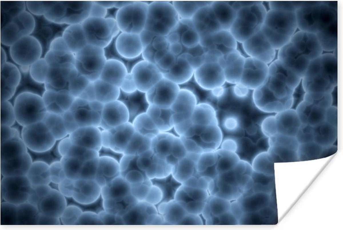 Poster Cellen uit het menselijk lichaam - 60x40 cm | bol.com