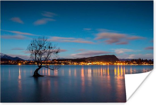 The Wanaka Tree at Lake Wanaka in New Zealand Poster 30x20 cm - small ...