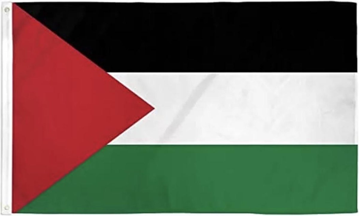 Palestijnse Vlag - Palestina vlag - Palestina | bol.com