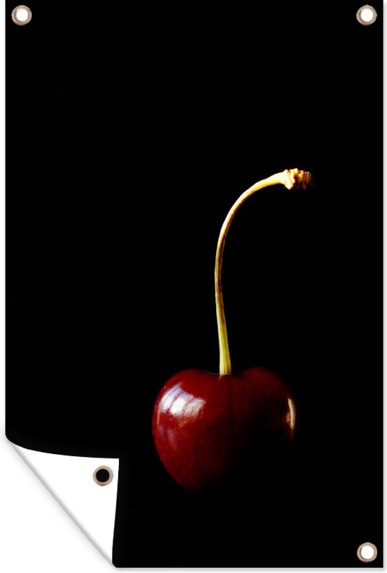 Tuinposters buiten Kers - Zwart - 60x90 cm - Tuindoek - Buitenposter | bol