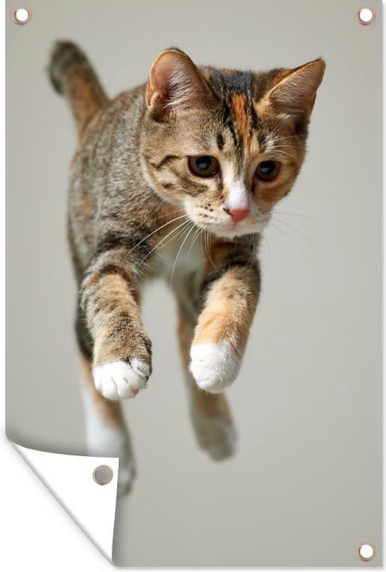 Muurdecoratie Springende kat - 120x180 cm - Tuinposter - Tuindoek ...