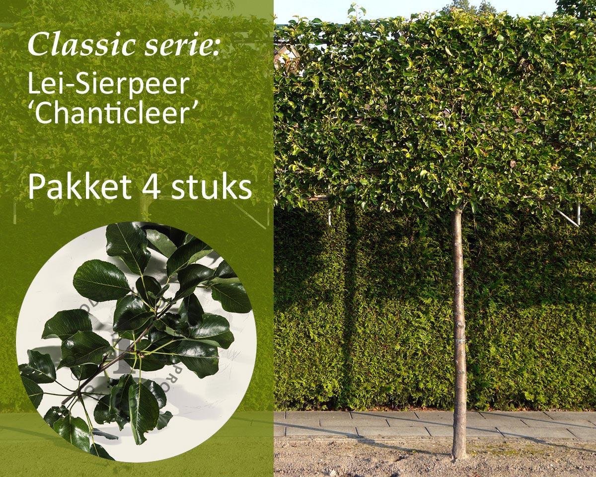 Lei-Sierpeer - Classic - pakket 4 stuks + EXTRA'S! | bol.com
