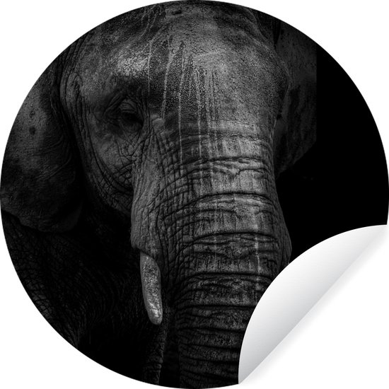 WallCircle - Muurstickers - Behangcirkel - Olifant - Dier - Zwart - 100x100 cm -... | bol