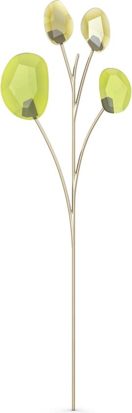 Swarovski Garden Tales Eucalyptus 5557803 | bol