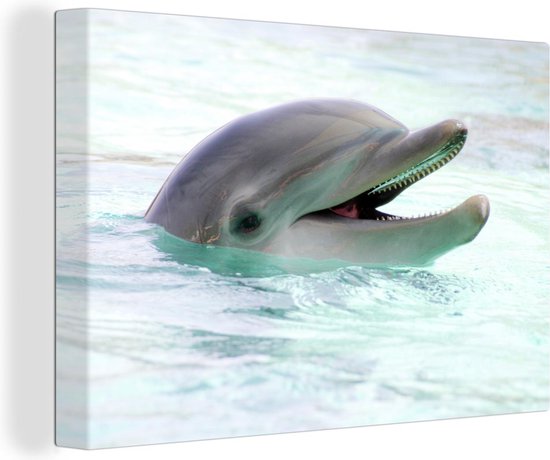 Canvas schilderij 140x90 cm - Wanddecoratie Dolfijn - Water - Zee - Muurdecoratie... | bol