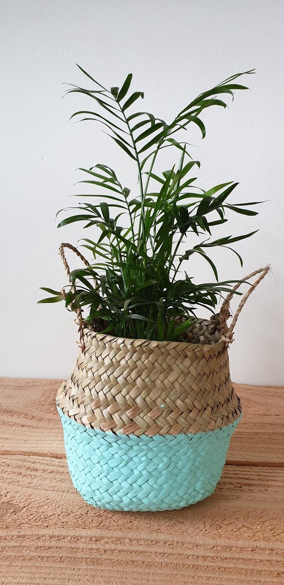 Mand - riet - gevlochten - blauw | bol.com