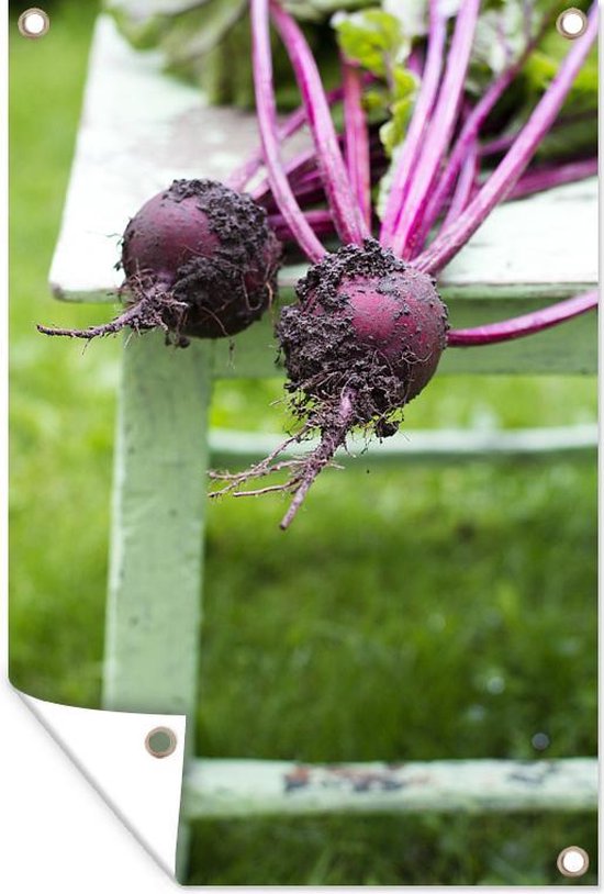 Tuinposters buiten Verse bieten op een houten tafel buiten - 60x90 cm ...