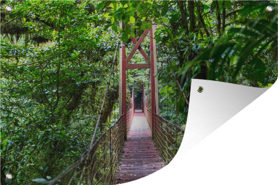 Tuindecoratie Rode brug in het regenwoud van het Bosque Nuboso ...