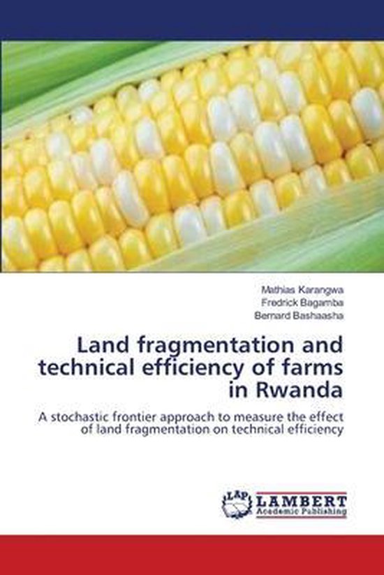 Land fragmentation and technical efficiency of farms in Rwanda ...