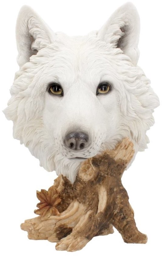 Nemesis Now Beeld/figuur Wild Winter Wolf Wit | bol