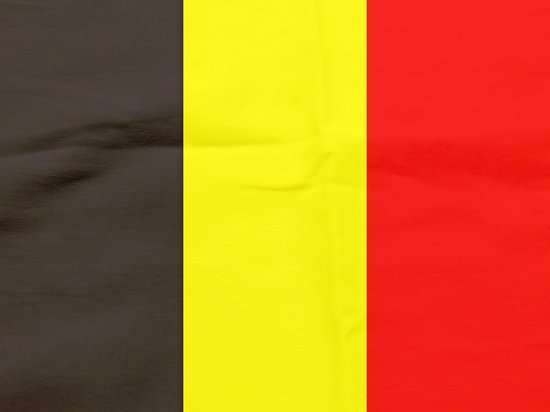 Belgische vlag - vlag - 150x100 CM - zwart/geel/rood | bol