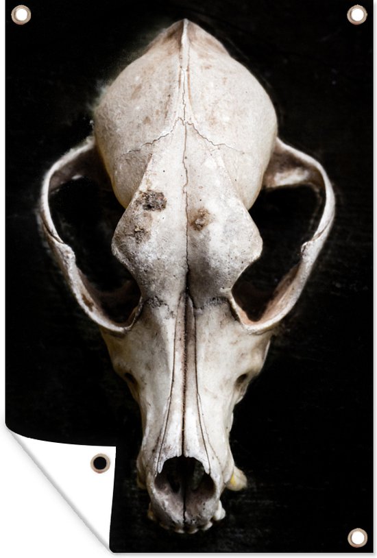 Tuindecoratie Schedel - Hond - Zwart - 40x60 cm - Tuinposter - Tuindoek ...
