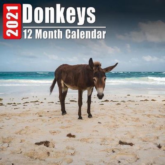 Calendar 2021 Donkeys, Donkeyz Calendar | 9798666781616 | Boeken | bol.com