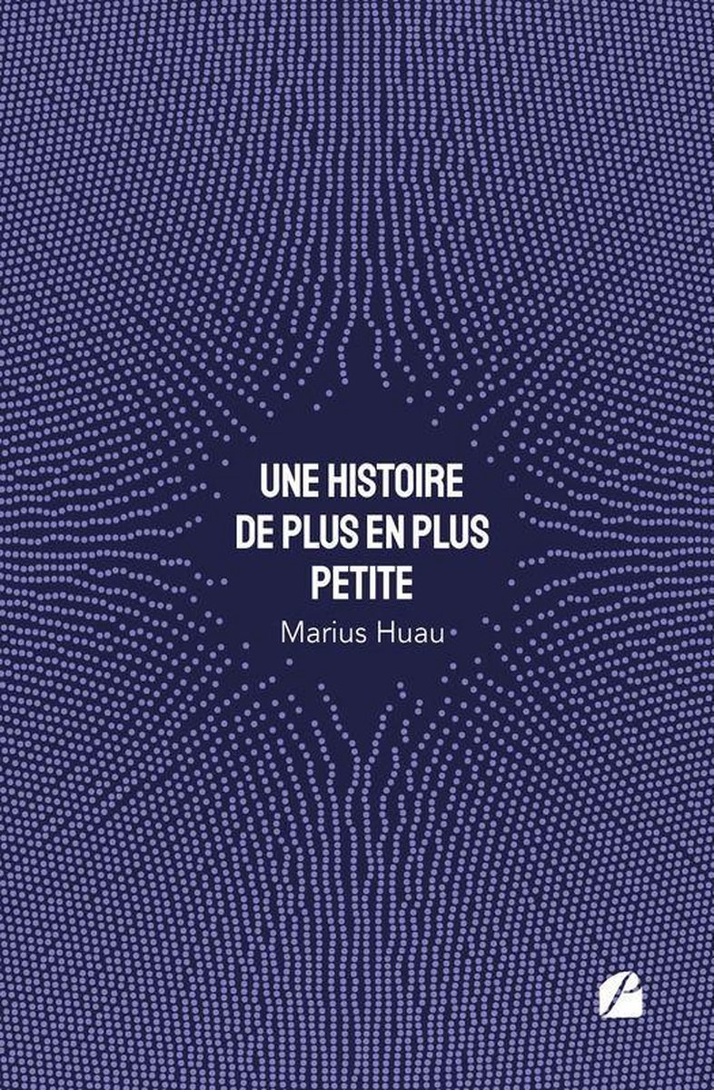 Essai - Une histoire de plus en plus petite (ebook), Marius Huau ...