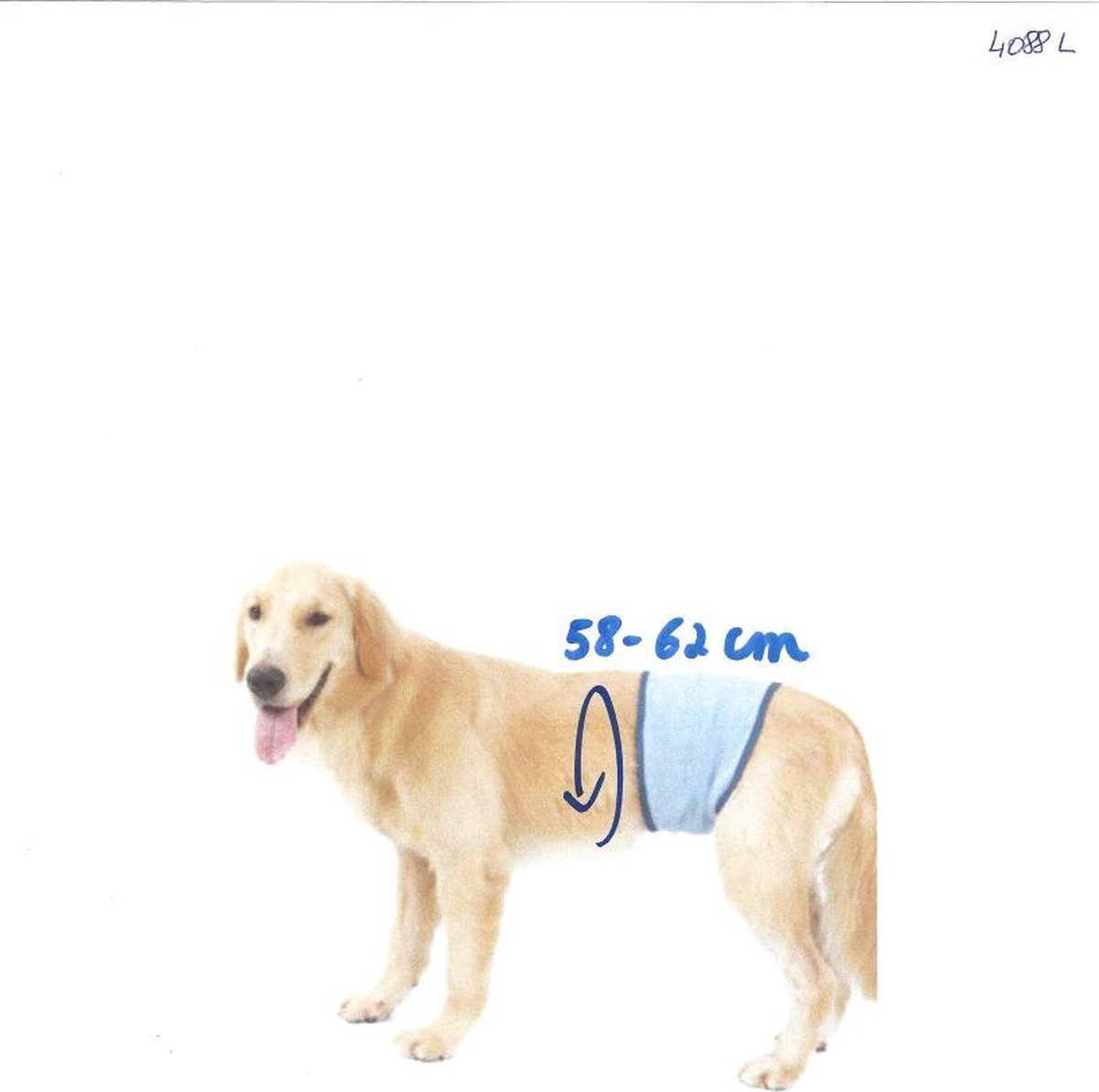 Honden buikband - luier voor mannelijke hond reu - plasband - wasbaar ...