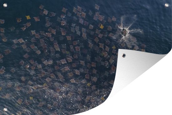 Affiche de jardin Rays in the clear water en vrac 120x80 cm - Toile de ...