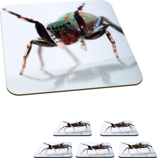 Onderzetters voor glazen - Close-up pauwspin op witte achtergrond ...