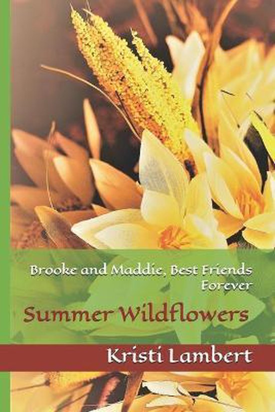 Brooke and Maddie, Best Friends Forever, Kristi Lambert | 9798685897367 ...