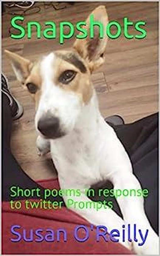 Snapshots (ebook), Susan O'Reilly | 9798215897997 | Boeken | bol.com