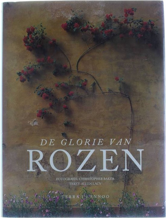 De glorie van rozen, Lacy, Allen | 9789062554959 | Boeken | bol