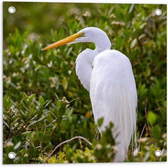 WallClassics - Tuinposter – Witte Reiger tussen de Planten ...