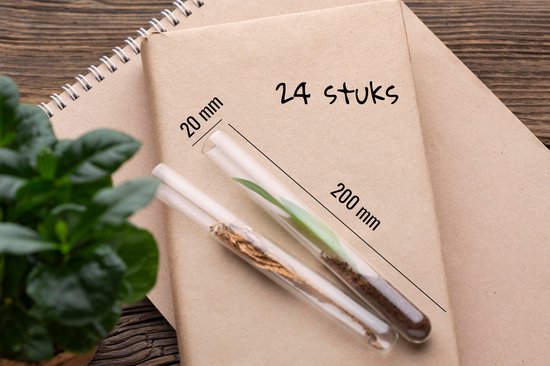 Casa Sentir - Reageerbuisjes met kurk (24 stuks) - Proefbuisjes ...