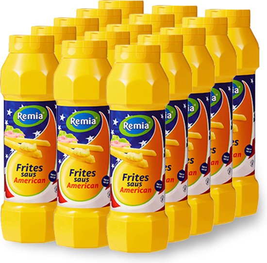 Remia - American Fritessaus - 15x 800ml | bol.com