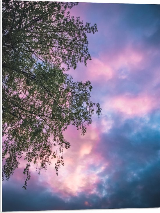 PVC Schuimplaat- Boom met Paars Blauwe Lucht - 60x80 cm Foto op PVC ...