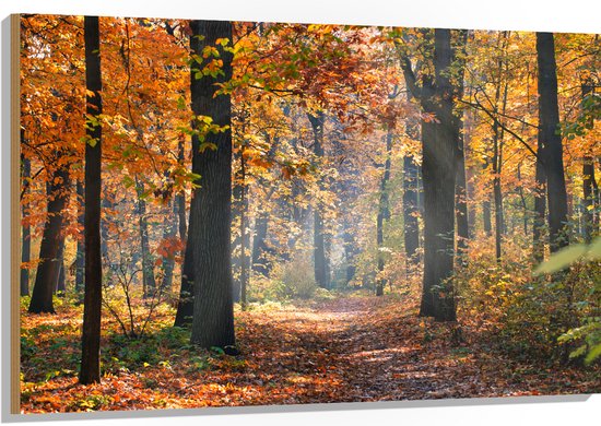Hout - Bos met Oranje Blaadjes in de Herfst - 120x80 cm - 9 mm dik ...