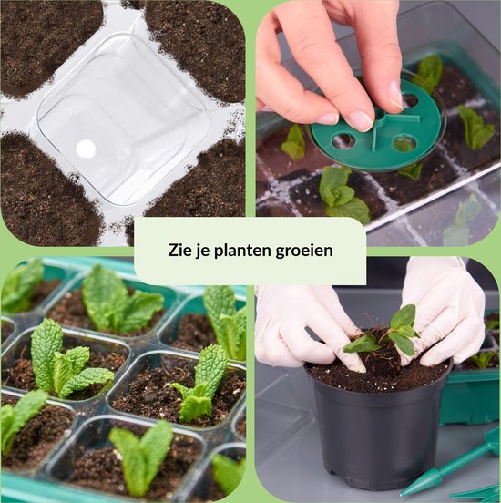 10 Pack LeafImpact Kweekbak - Complete Kweekset - Moestuin Kweekkas ...