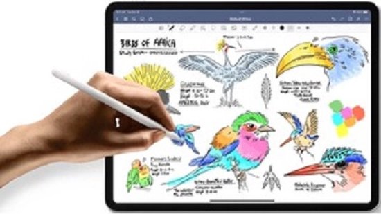 Apple iPad 10th Gen 10.9", 64GB Tablet in Silver (MPQ03B/A) | bol.com