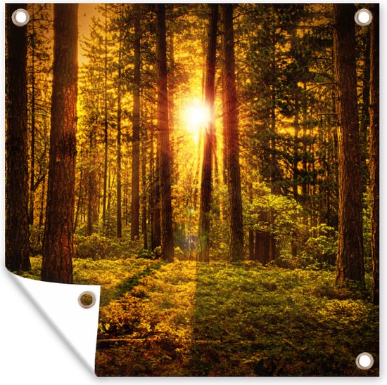 Tuindoek Bos - Zon - Bomen - Natuur - Zonsondergang - 100x100 cm | bol